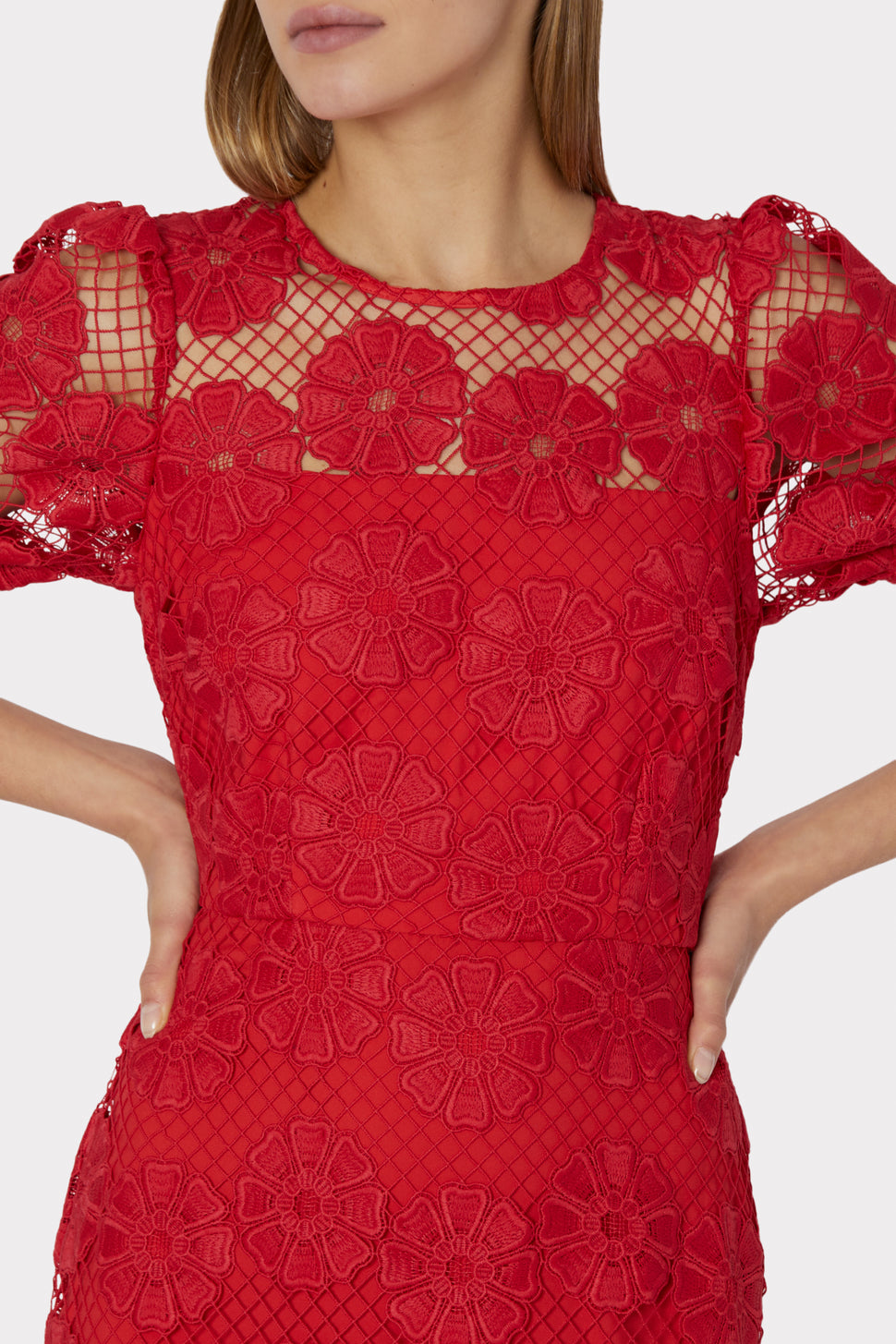 Yasmin Daisy Lace Dress in Red | MILLY